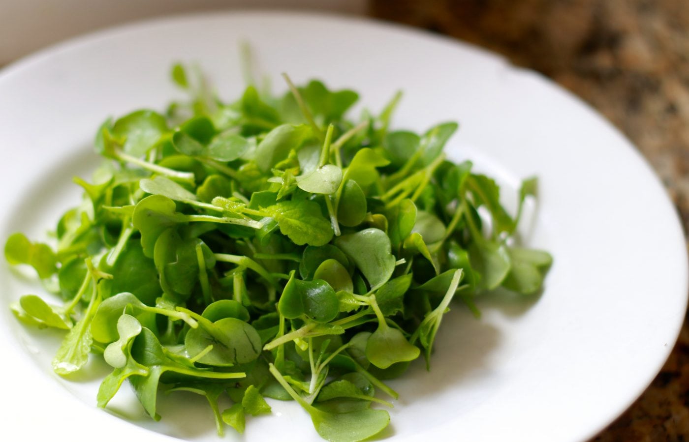 Now What's Your Excuse? Now You can Grow Greens Indoors...Without Any ...